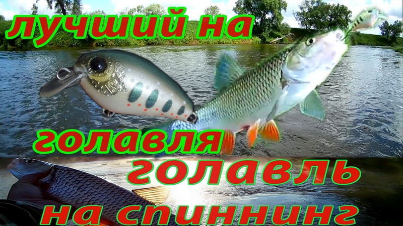 Голавль на кренки. Ловля спиннингом на перекате.