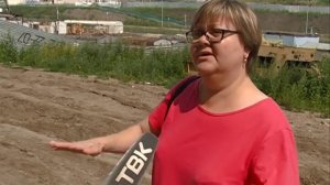 В Красноярске пропадают бродячие собаки рядом со стройкой