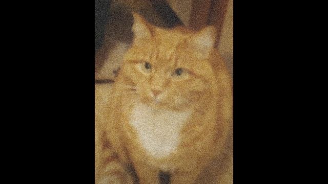 скример