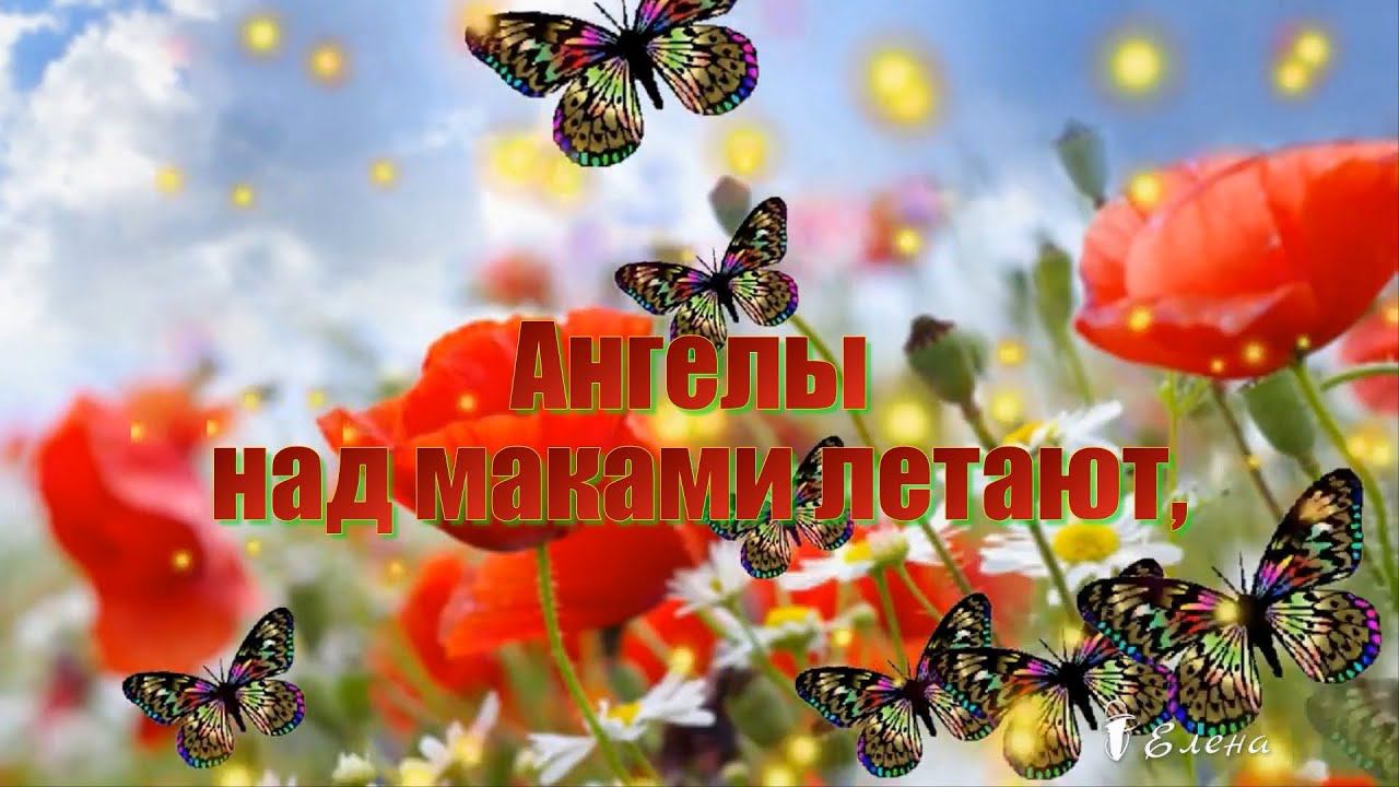 Ангелы над маками летают*