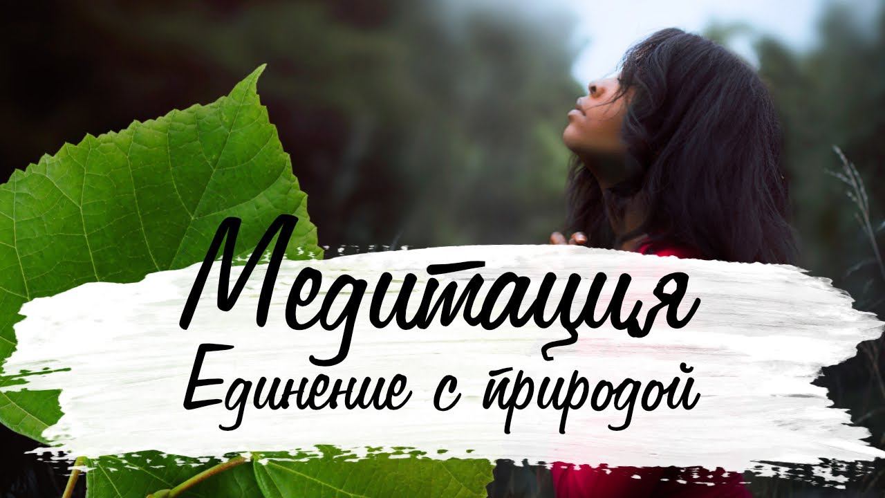 Медитация умиротворения | Связь с природой | Звуки природы | Звуки утреннего леса | Красивая музыка