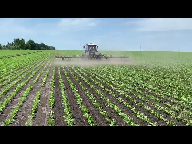 Мотыга ротационная от Компании Сармат