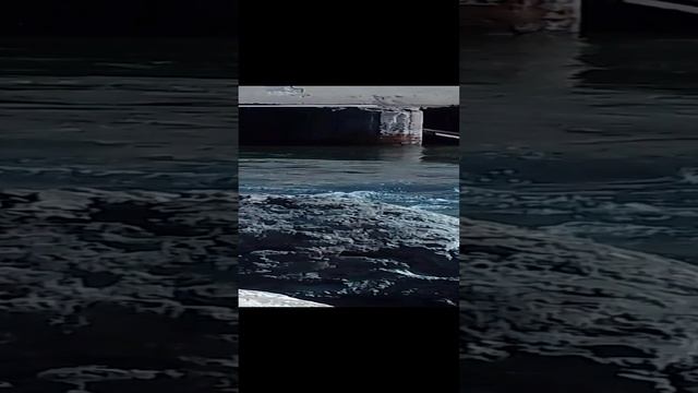 Чемальская ГЭС, ближе к воде.mp4