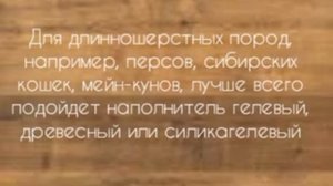 Какой наполнитель лучше всего подойдёт для кошек?