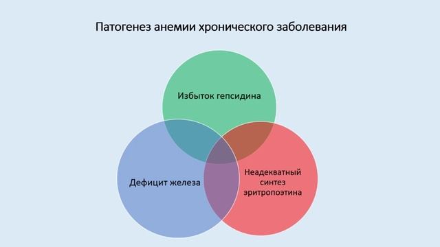 5.avi