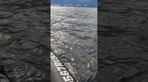 отличная морская треска