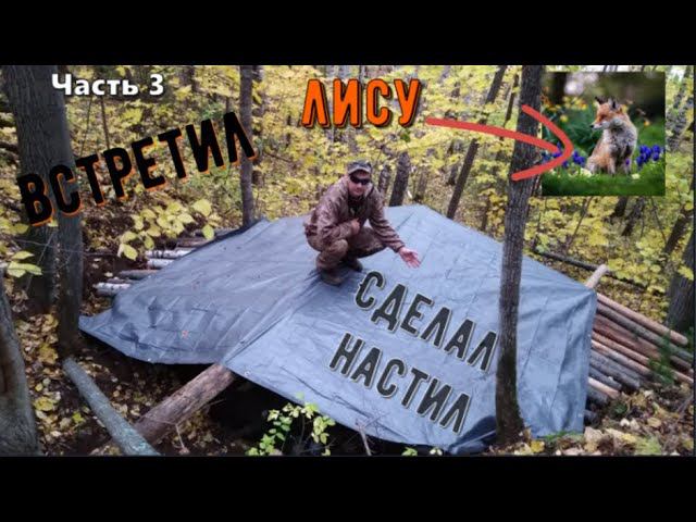 Строительство землянки у реки Кама | Увидел лису | Сделал настил  | Поймал леща на фидер | Часть 3
