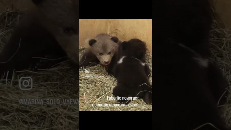 Здесь всё о Faberlic. Подпишись