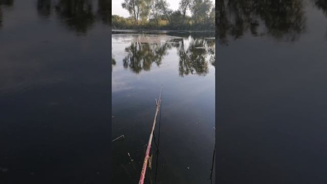 РЫБАЛКА.
