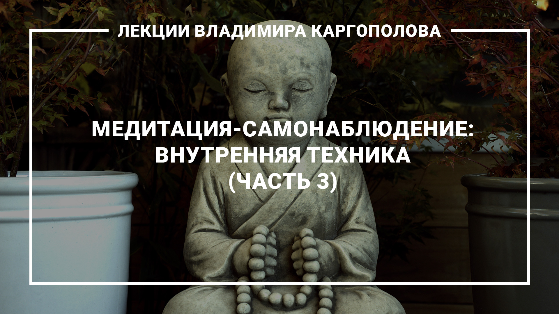 Лекции В. Каргополова. 10.1. Медитация-самонаблюдение. Внутренняя техника (часть 3)