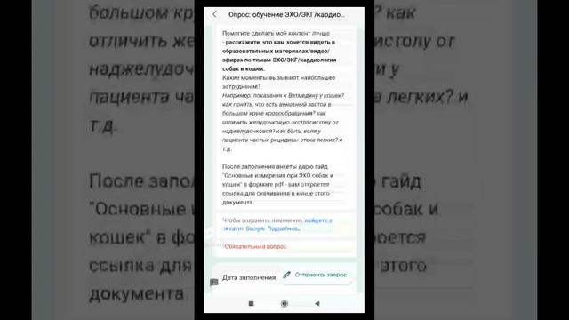 Дарю гайд Измерения в ЭХО собак и кошек
