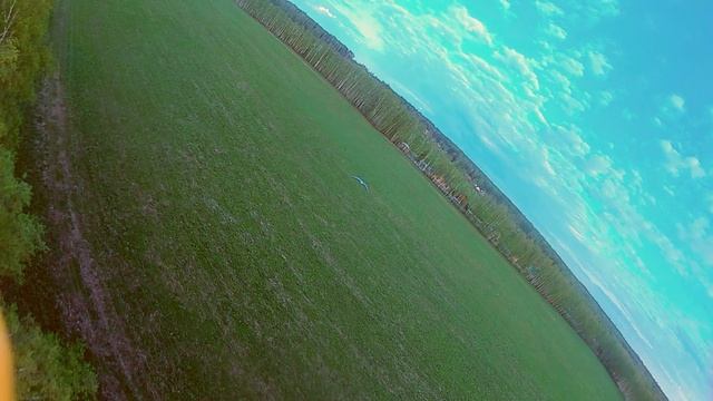 FPV. Вместе с птицами