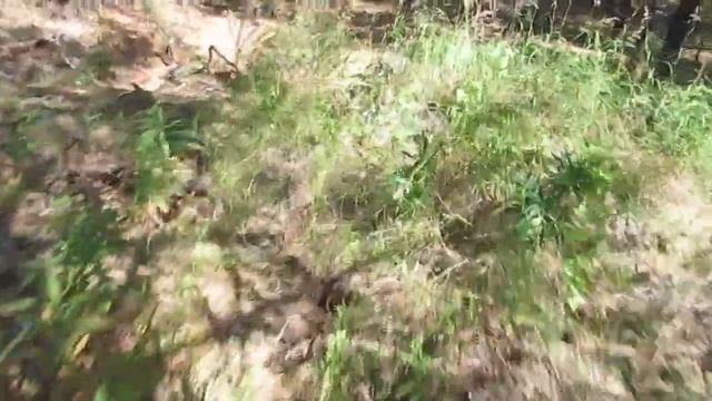 Как заработать на металлокопе.Копаем, складываем,здаем в пик цены на чермет