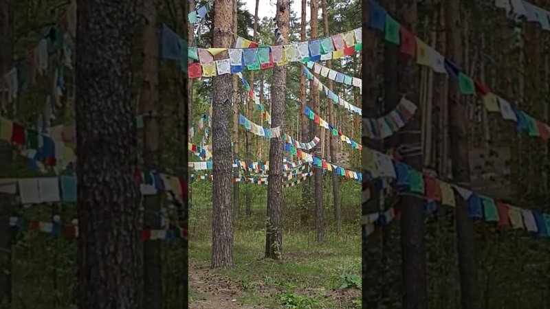 Северный Кунсангар.