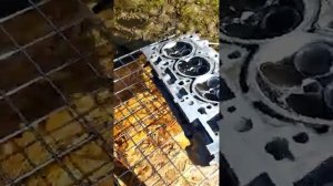 Отзыв о Ривасол Мотор ?