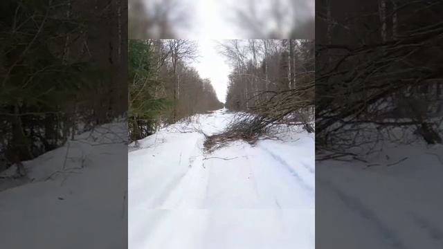 Забытая деревня