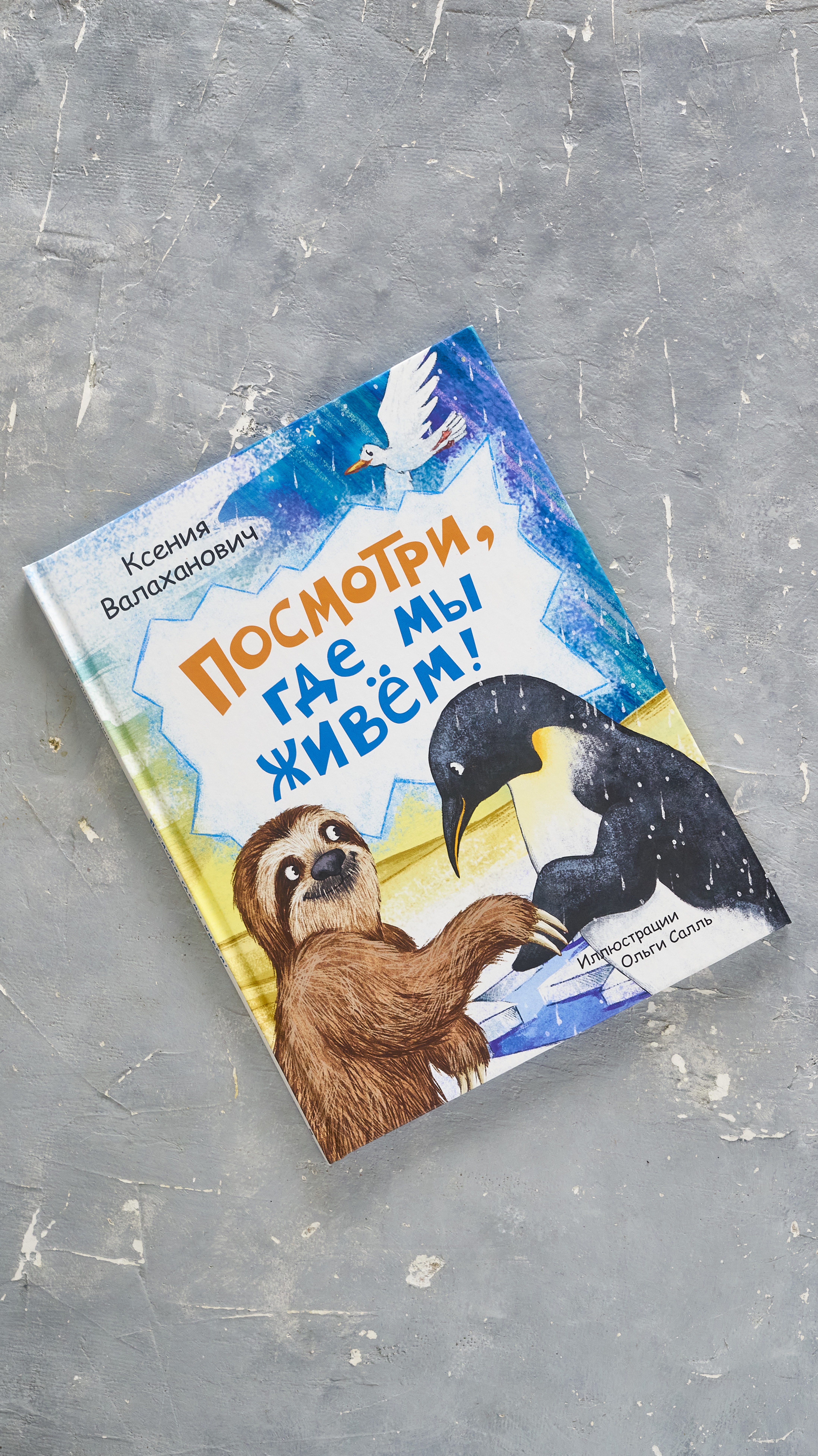 Ксения Валаханович «Посмотри, где мы живем!»