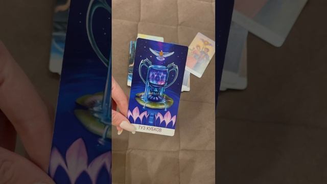 Туз кубков