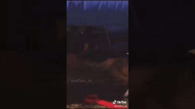 Овчарка эстетика