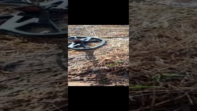 Монета СССР