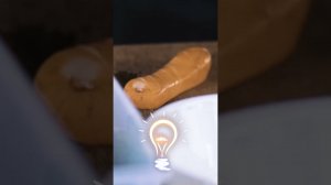 Чем шпикачки отличаются от сарделек?