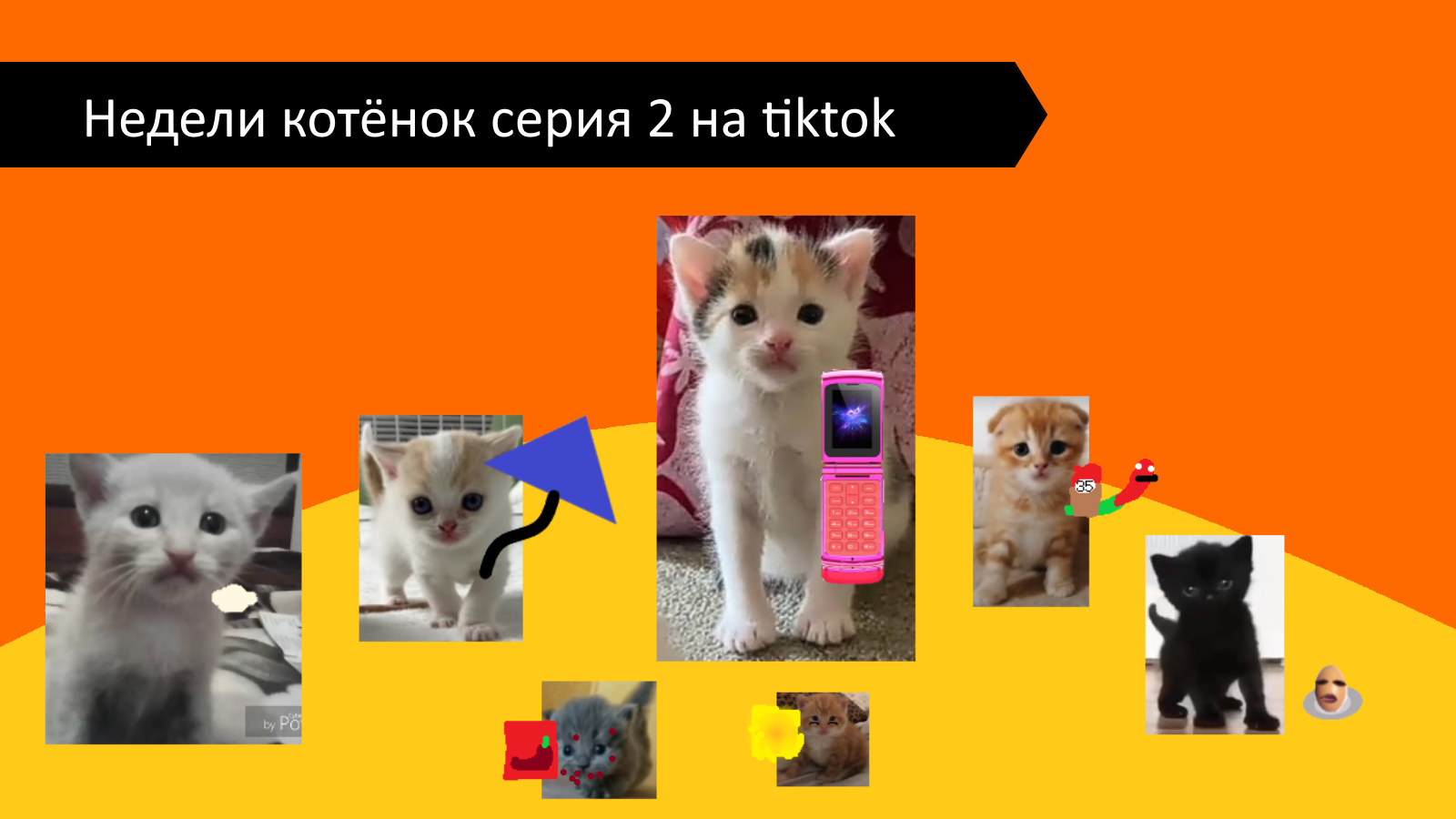 Недели котёнок серия 2 на tiktok