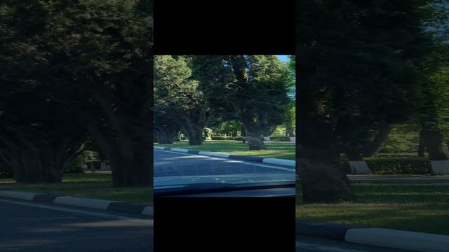 20220617_151101.mp4