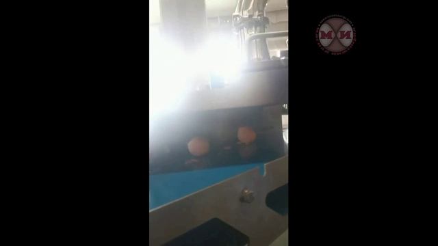 Приставка для шприца Xiaojin RW-100 для котлет и мясных шариков