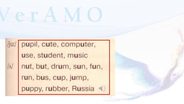 Урок 6. "O o". Упражнения 05, 06: слушать и читать слова с "O"