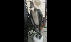 Вырос грибочек