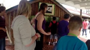 Жизнь в США | Где можно увидеть АЛЛИГАТОРОВ во Флориде КРОКОДИЛОВАЯ ферма Gatorland Орландо