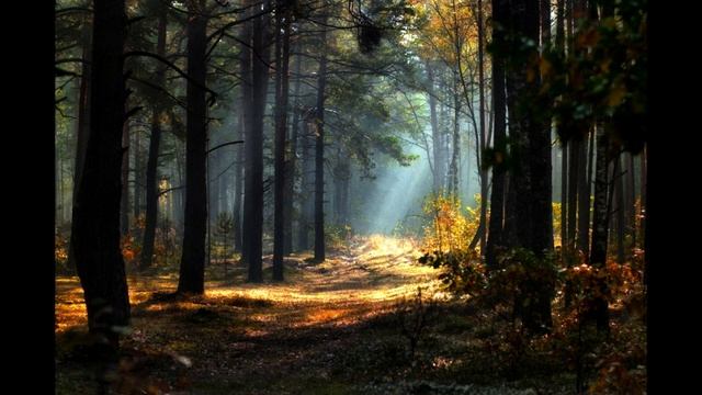 Библия. 76-05. Послание к Евреям апостола Павла (05). Ибо всякий первосвященник.