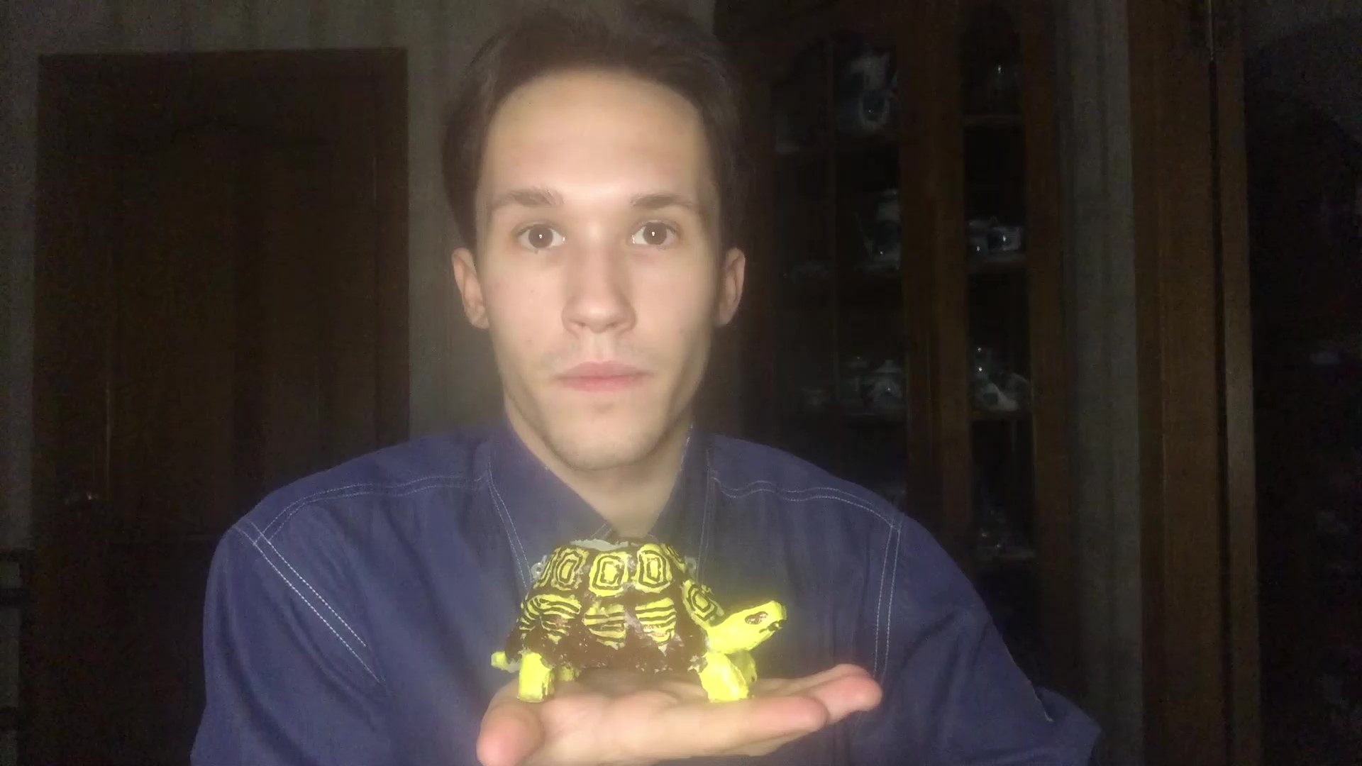За творческим процессом Мадагаскарская клювогрудая черепаха