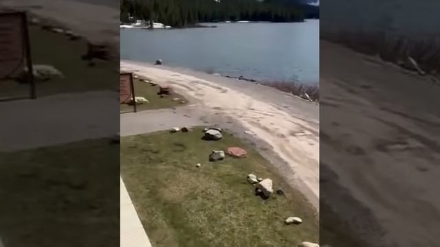 Тем временем в CanadaLand