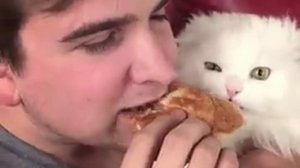 Каспер со своим хозяином едят круассан