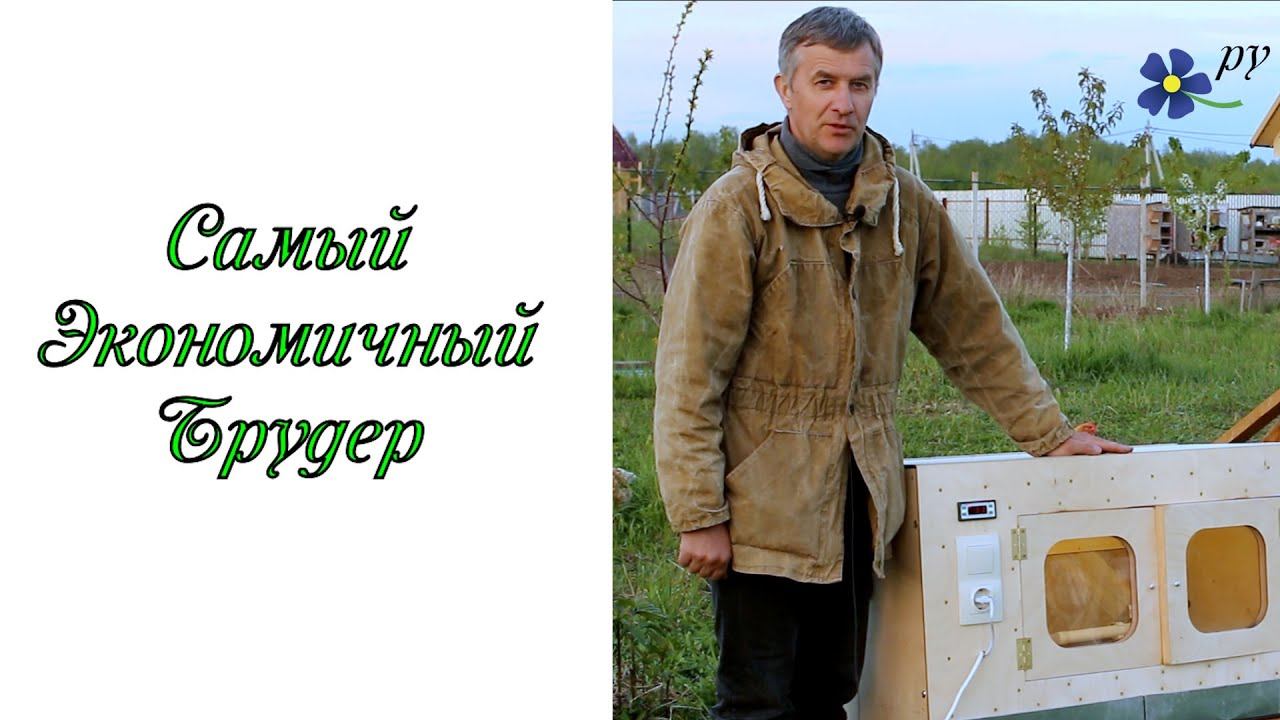 Самый экономичный брудер