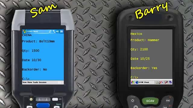 Georgia SoftWorks Telnet Server for Windows and SSH2 - Featuring: Team ...