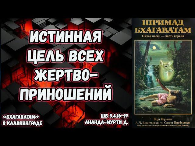 Истинная цель всех жертвоприношений. Ананда-мурти д. ШБ.5.4.16–19