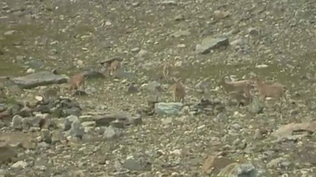 Архызские туры