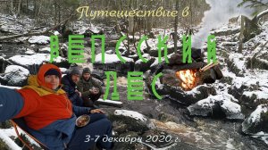 Вепсский лес. Святой камень. Чур-ручей. Поход по заповедным местам. Декабрь 2020 г.