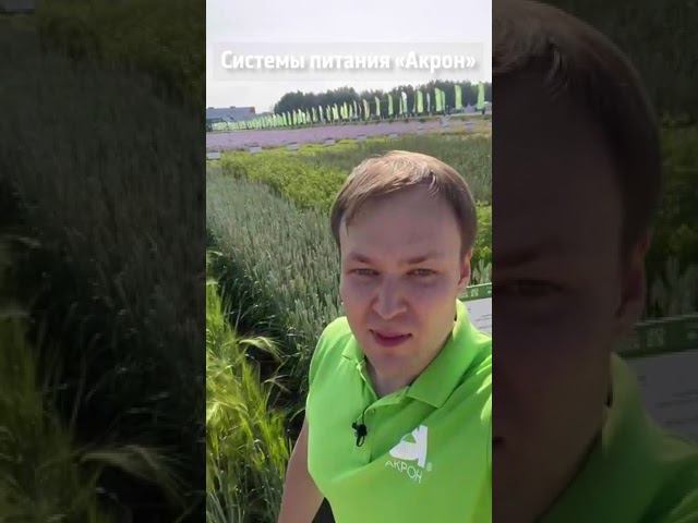 Всероссийский день поля-2023 #shorts