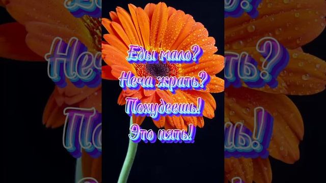 Стишок от уныния