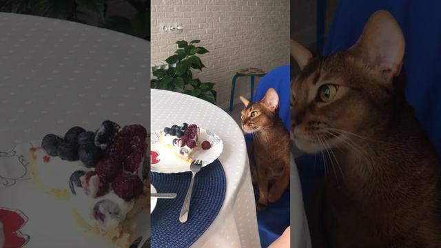 Делиться надо...)