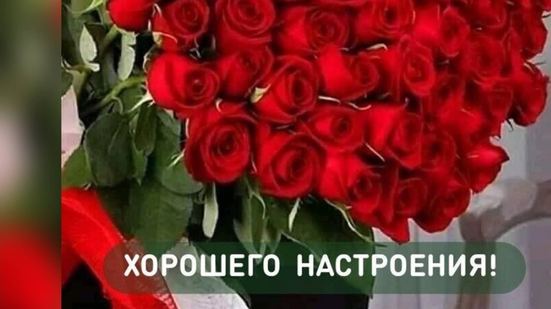 Природа не перестаёт удивлять!!!  Фантастическое удовольствие от просмотра!!!