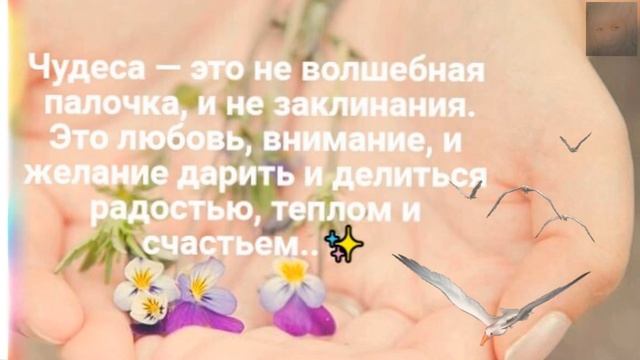 Полёт мыслей........mp4