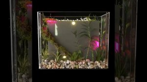VID-20231129-WA0017.mp4
