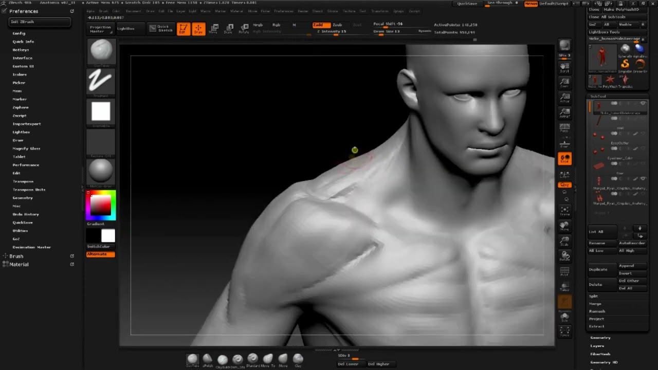 Anat Vol 01 12  Trapezius 2 3