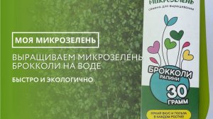 Выращиваем микрозелень брокколи быстро и просто в домашних условиях, всего за 7 дней.