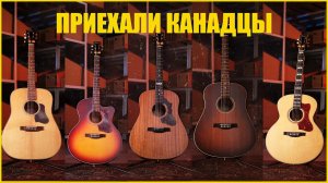 Первое впечатление Guitar Lavka! Гитары из Канады! Norman, Art & Lutherie, Seagull,  Godin!!!