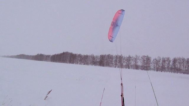Под Л.Э.П. Мы не электрики